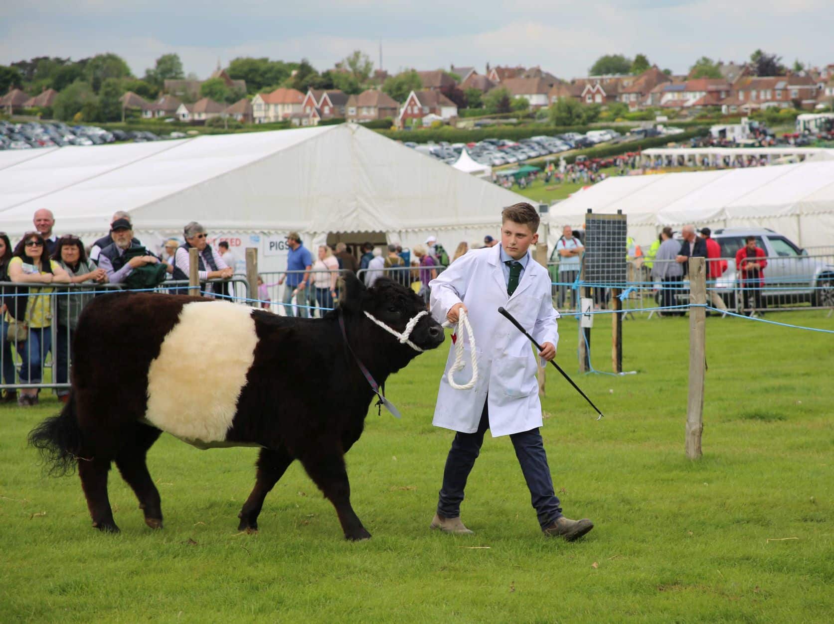 This year's Heathfield Show is all set to be a great day out - The ...