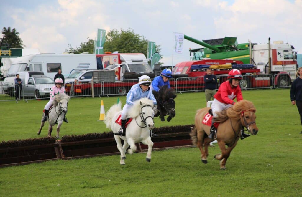 This year's Heathfield Show is all set to be a great day out - The ...