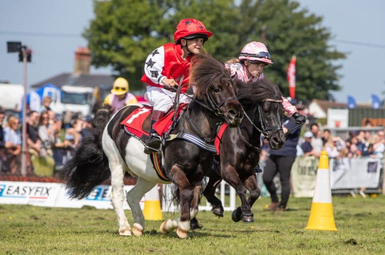 The Heathfield show is back, this Saturday enjoy a packed day of ...