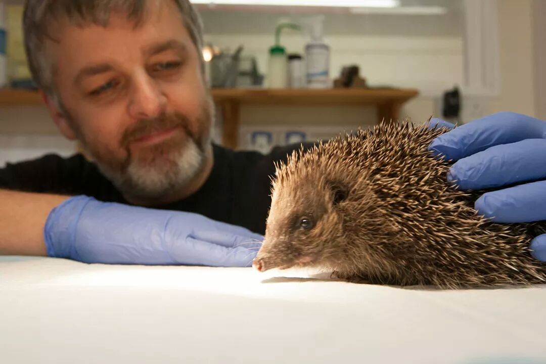East Sussex Wildlife Rescue & Ambulance Service celebrates its 30th ...
